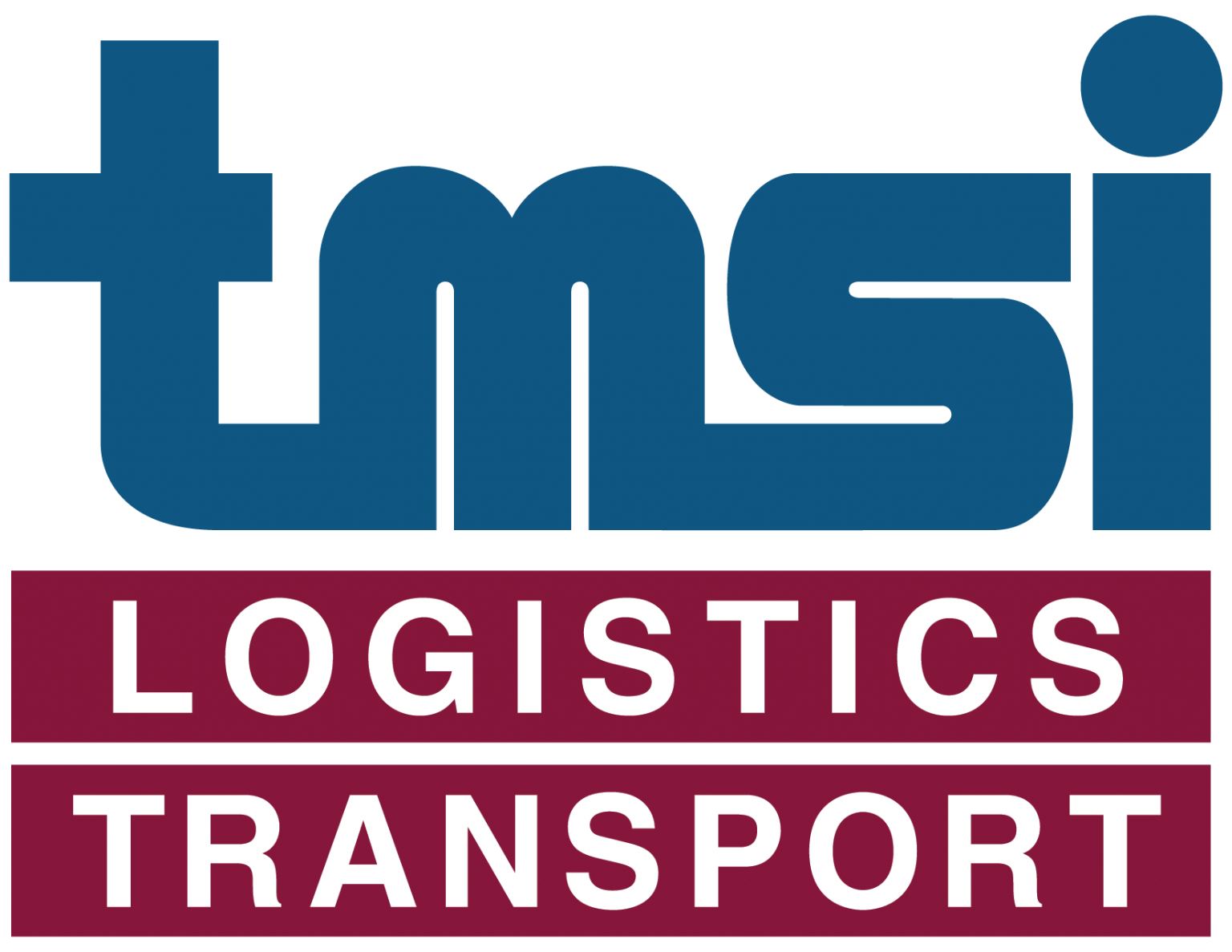 TMSI – Transportation Marketing Services International Inc