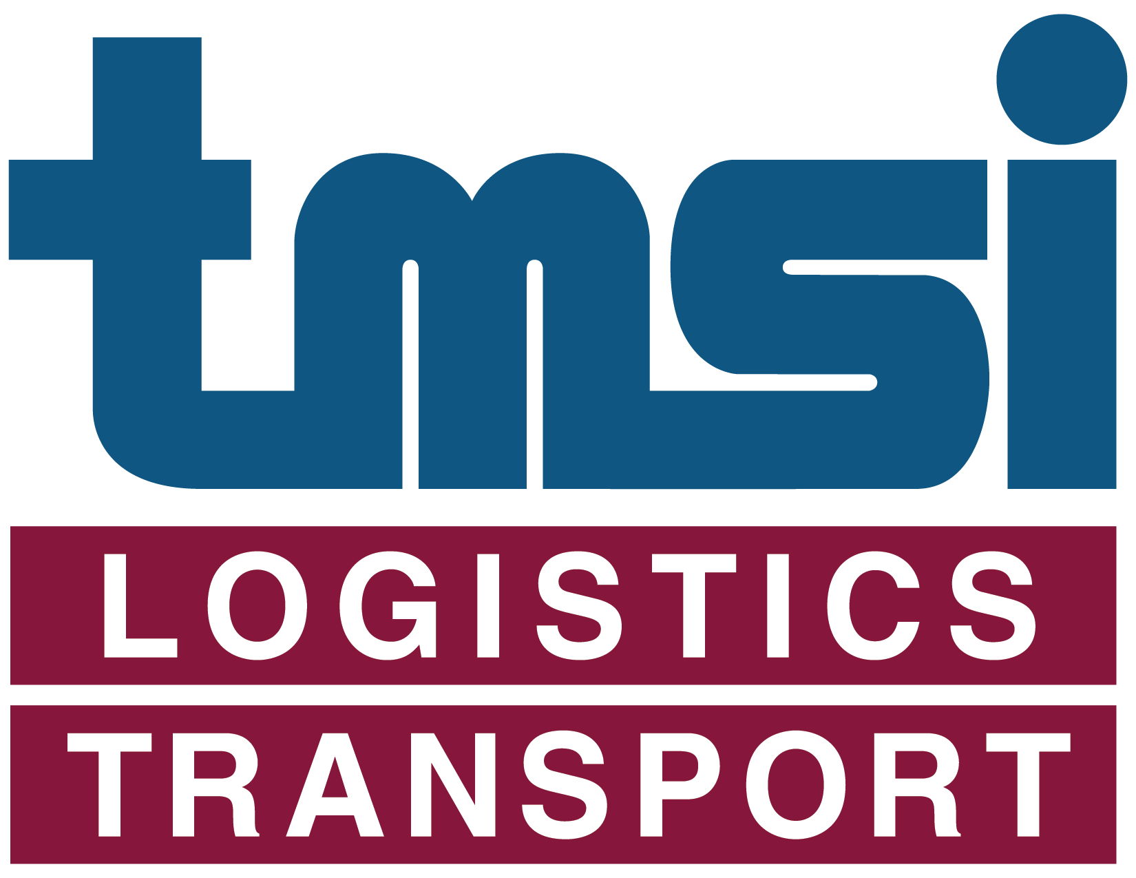 TMSI – Transportation Marketing Services International Inc